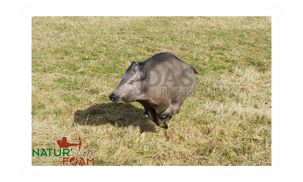 Target 3d Naturfoam Wild Boar - Running|Archery Shop DAS Roggel